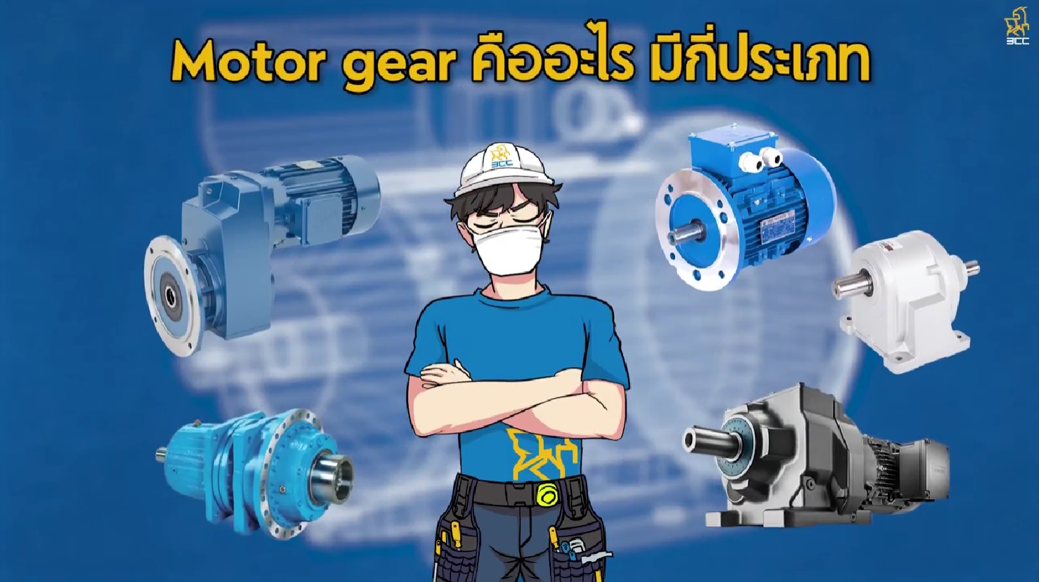 Motorgear (มอเตอร์เกียร์) คืออะไร และมีกี่ประเภท - Best Conveyor Center