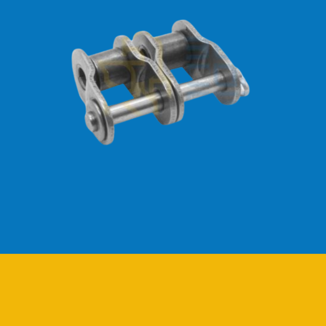 Double Strand Chain - Best Conveyor Center