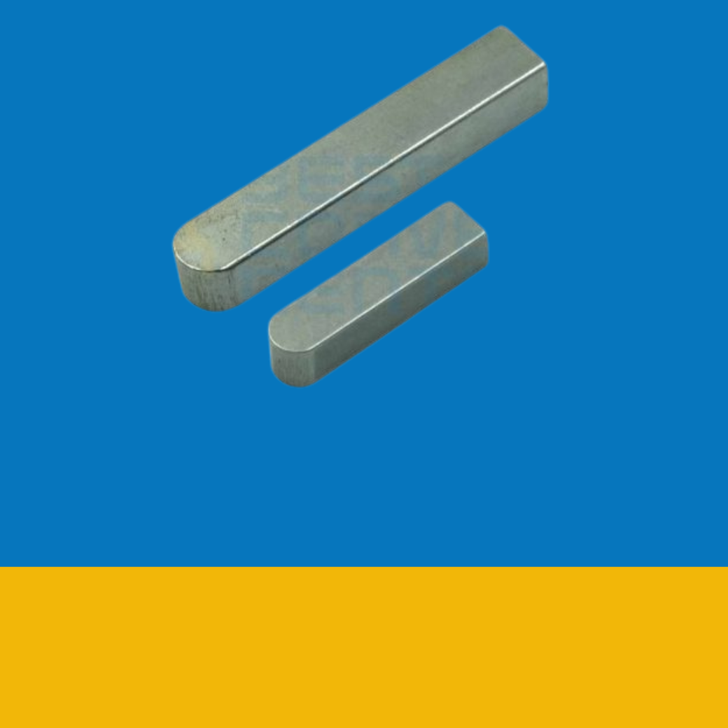 PKG (แบบกลมที่ปลายด้านหนึ่ง) Archives - Best Conveyor Center