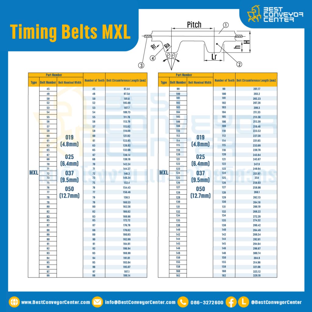 Timing Belt MXL - Best Conveyor Center