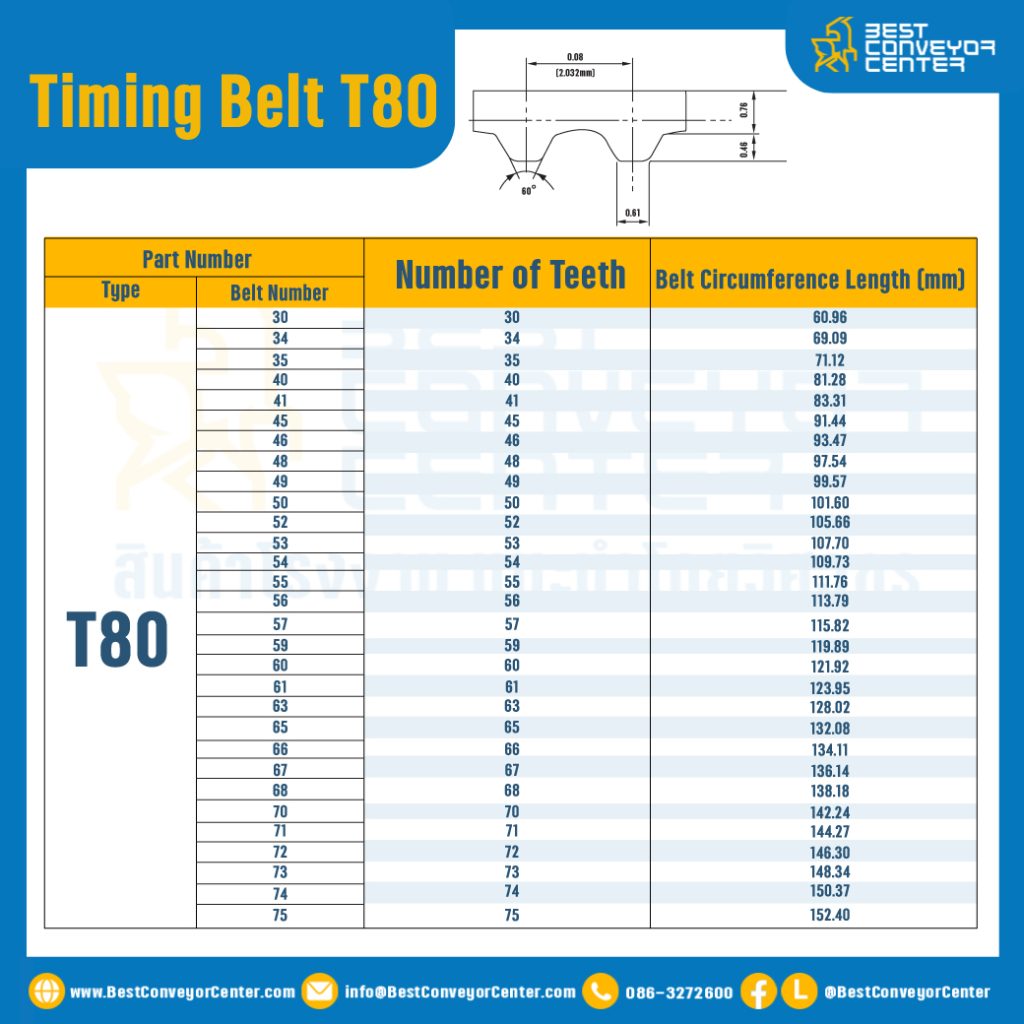 Timing Belt T8 - Best Conveyor Center