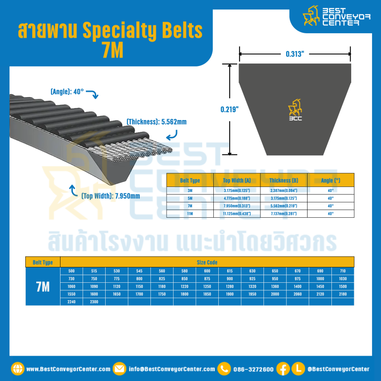 Specialty Belts 7M : 7M1600 - Best Conveyor Center